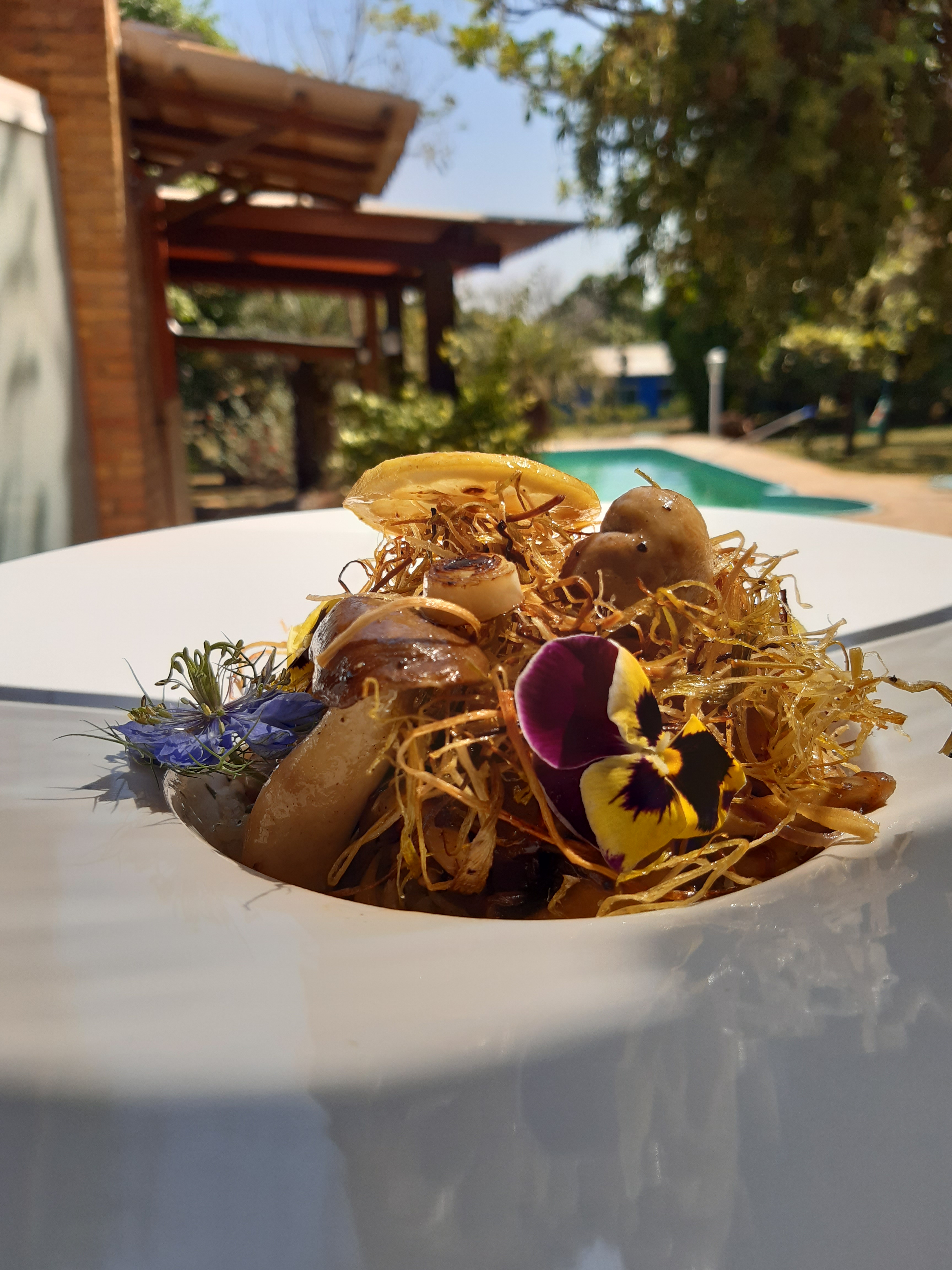 Projeto Chefs do Brasis celebra o melhor da gastronomia contemporânea ...