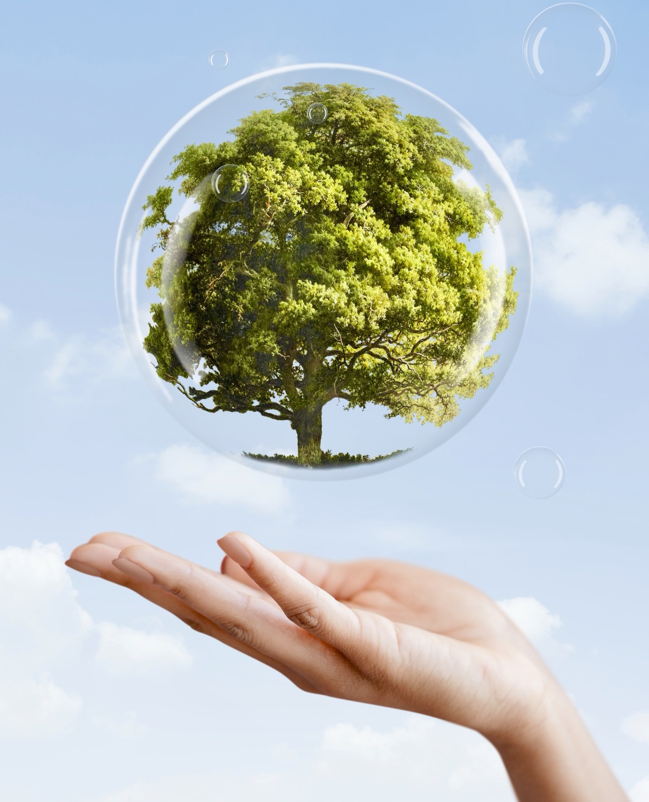 Conscientização ambiental e ecológica e os desafios do cotidiano – Blog ...