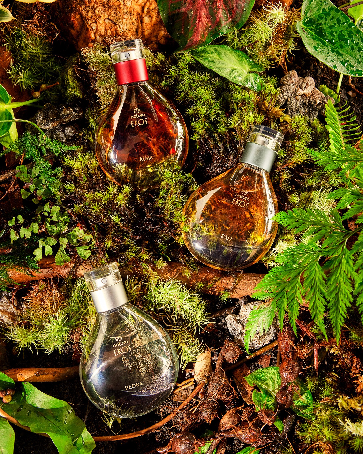 Natura Ekos entra para alta perfumaria com nova coleção que celebra a ...